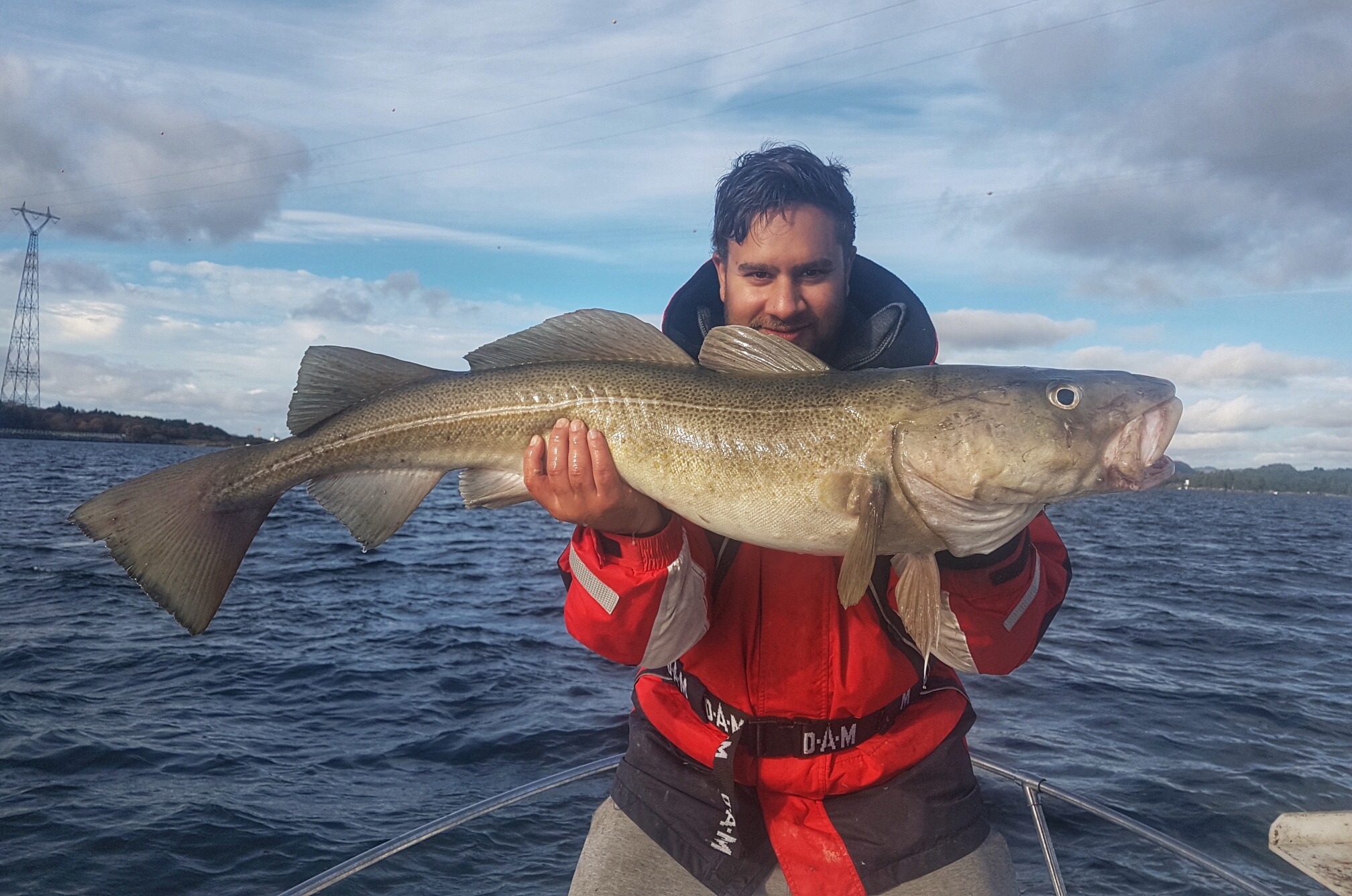 Bli med å redde torsken! - Fiskeavisen.no