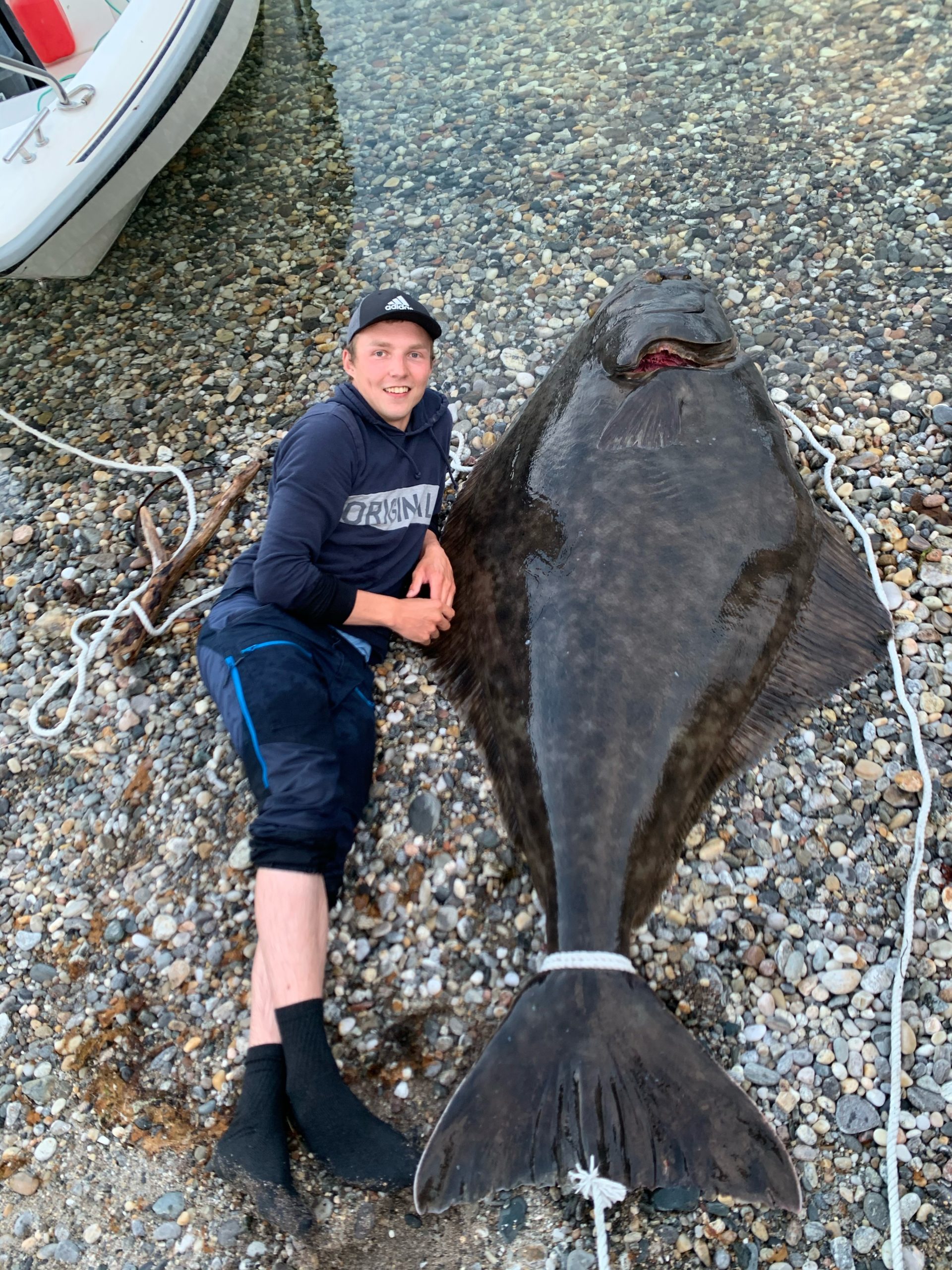 Kjempekveite tatt på stang. - Fiskeavisen.no